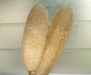 Pedro García Digital::::::