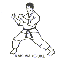 KARATÊ-DO: TÉCNICAS DE DEFESA