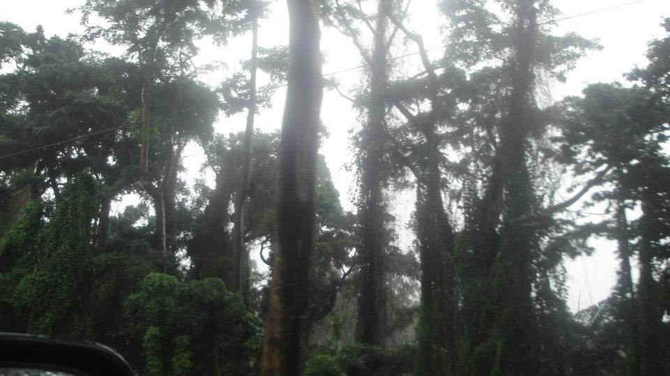 What to know about Subic Freeport Zone .: Subic Bay Wildlife