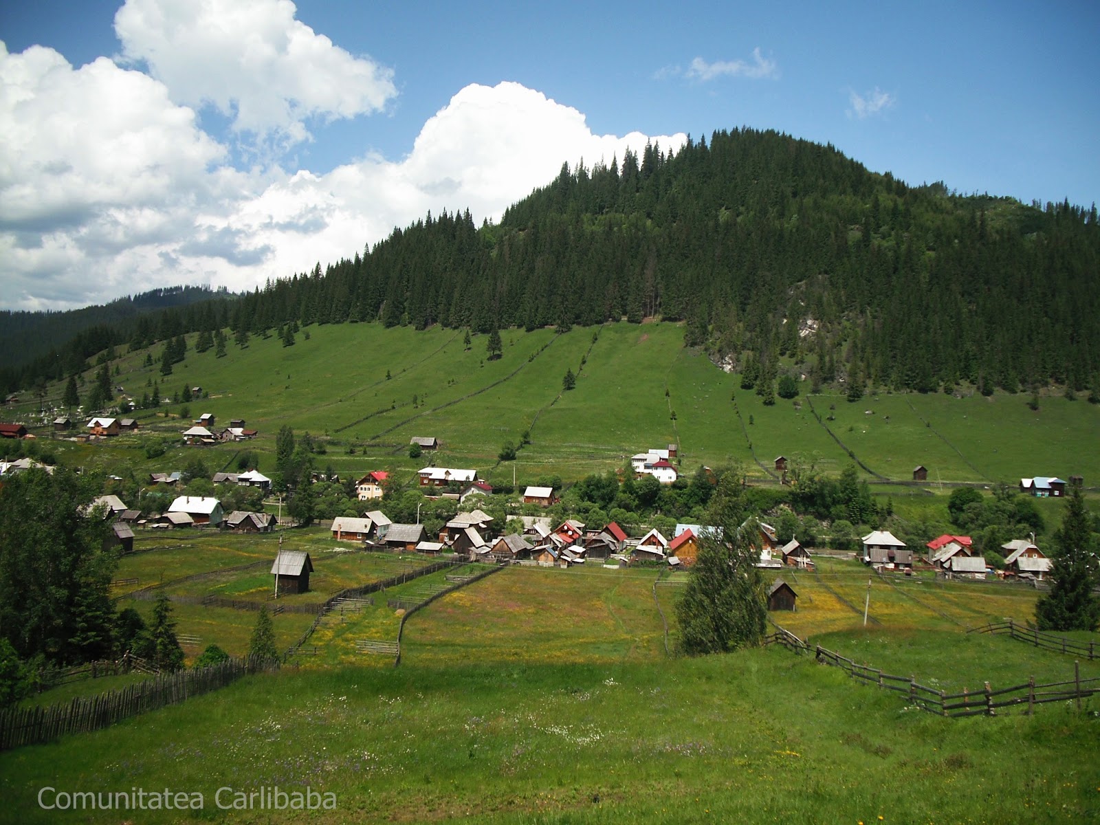 Info.Carlibaba.Bucovina.Online: Galerie Foto-Video