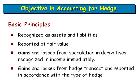 Hedge Accounting | Accounting Education
