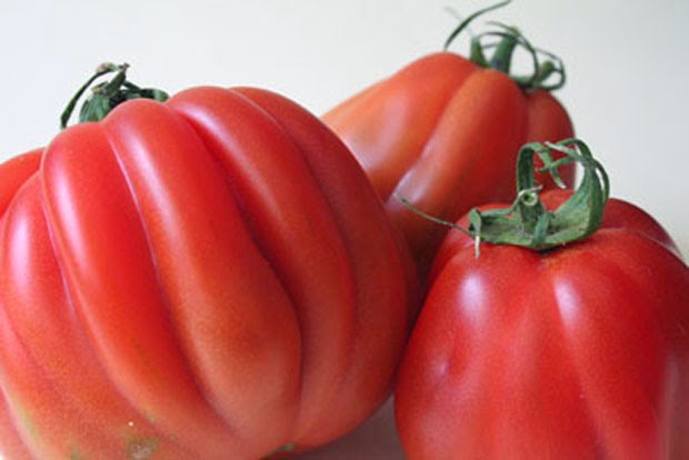 Plantas,flores y vida: Plantas, flores y vida. Alimentación y Alzheimer.