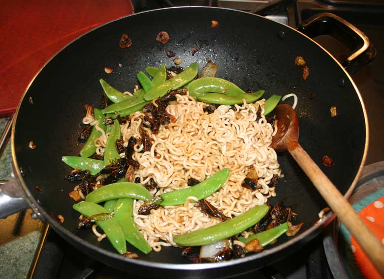 Ozarks Gardening: Cicadas, What's That Noise?