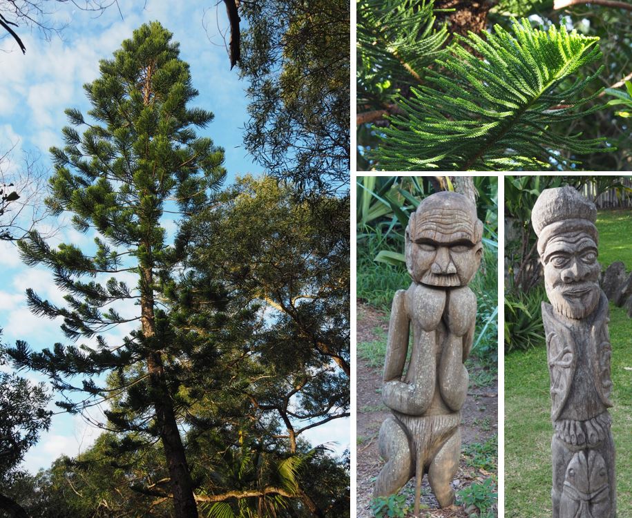 CAP SUR L’ILE INTENSE: Nouvelle Calédonie 1 : premiers pas à Nouméa