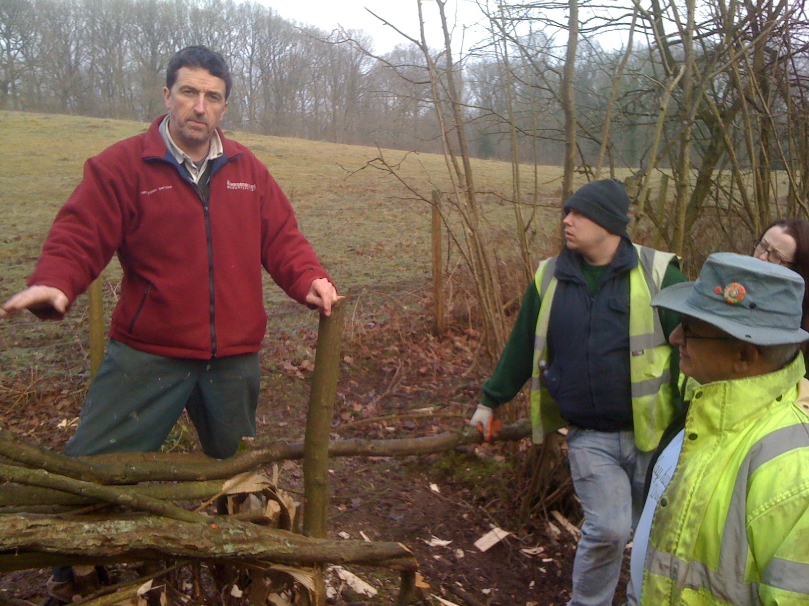 Worcestershire Woodland Project: Bullock Proof!
