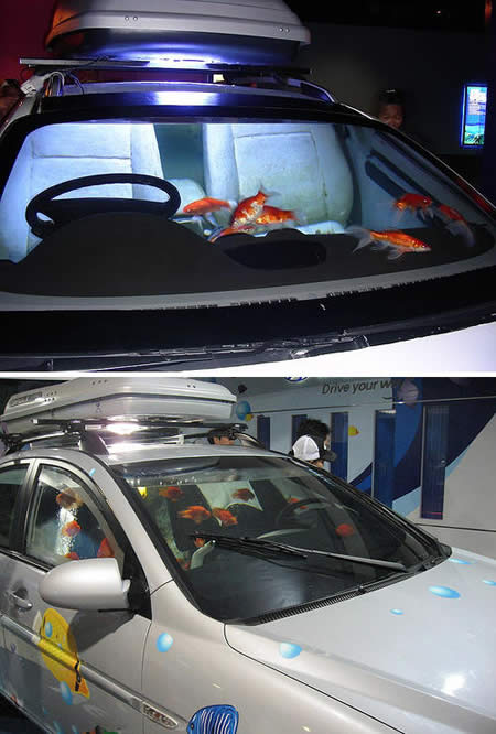 10 Cool and Crazy Fish Tanks ~ CRAZY PICS