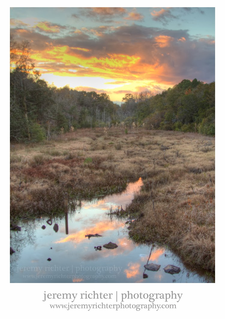 jeremy richter | photography :: blog: Lowland Marsh near Mobile Bay ...