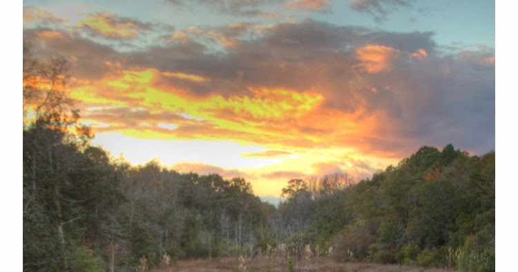 jeremy richter | photography :: blog: Lowland Marsh near Mobile Bay ...