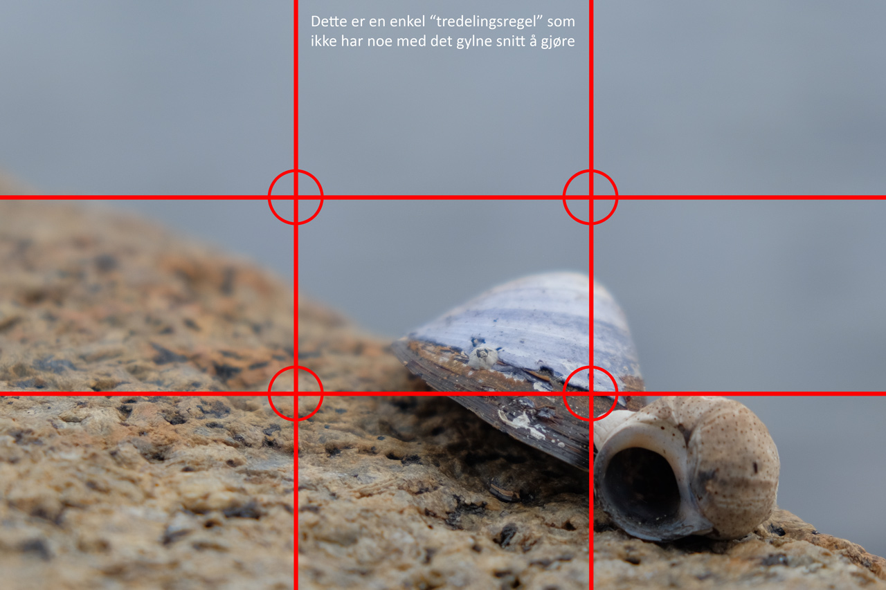 Fototriks og Fotohobby: Hva er det gylne snitt?