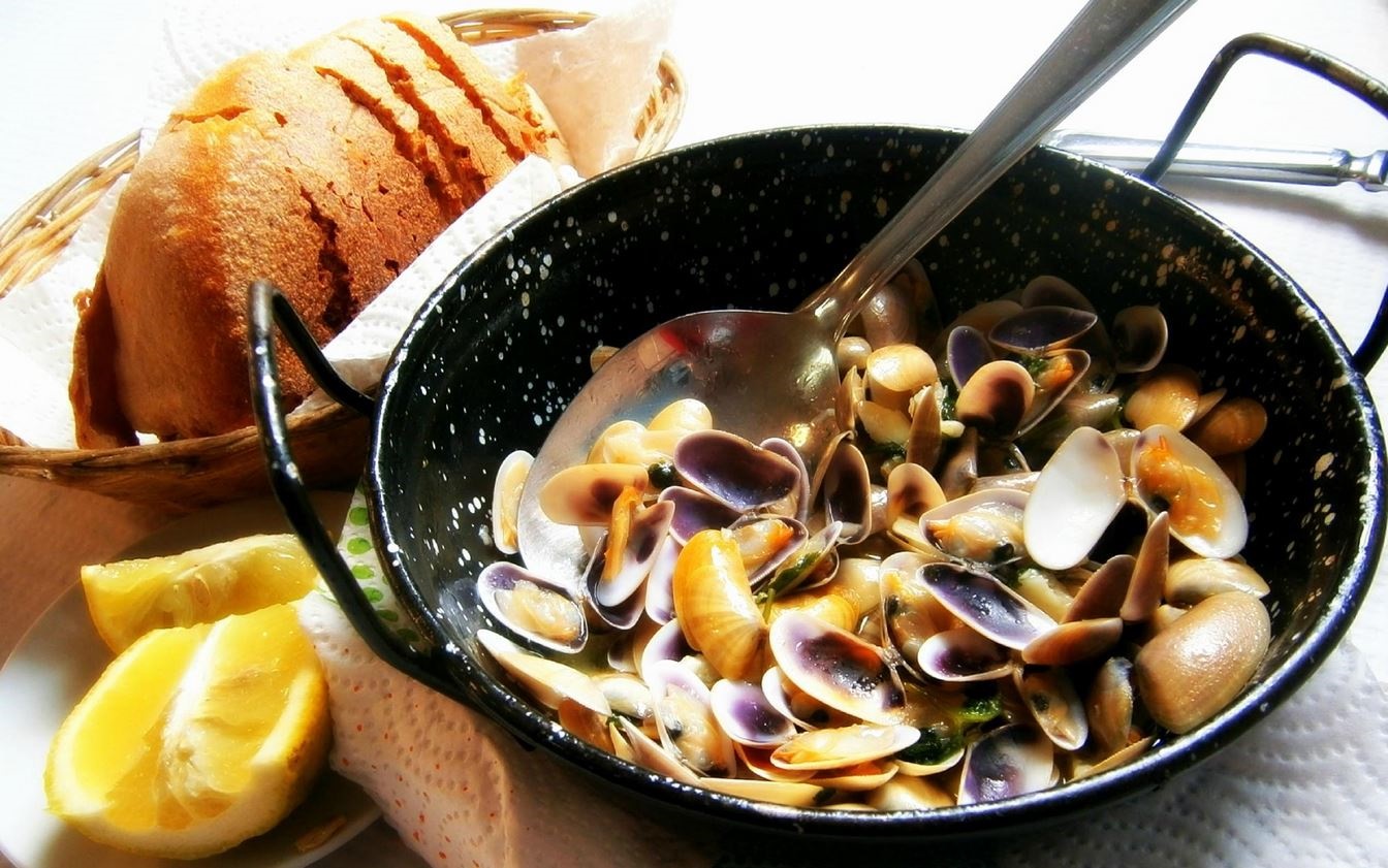 Novelo de Arte: Conquilhas à Algarvia