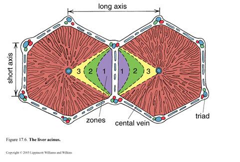Grupo 1HM1 2011: 03-may-2011