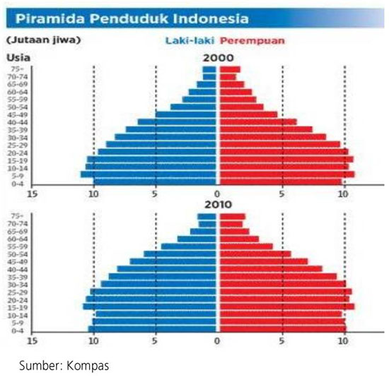 Ketahanan Pangan Nasional: Demografi, Peluang dan Tantangan