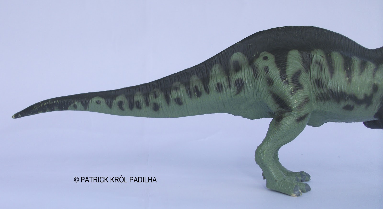 Dos Fósseis ao Plástico!: ACROCANTHOSAURUS ATOKENSIS (BATTAT)
