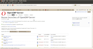 OpenERP Installation Guide