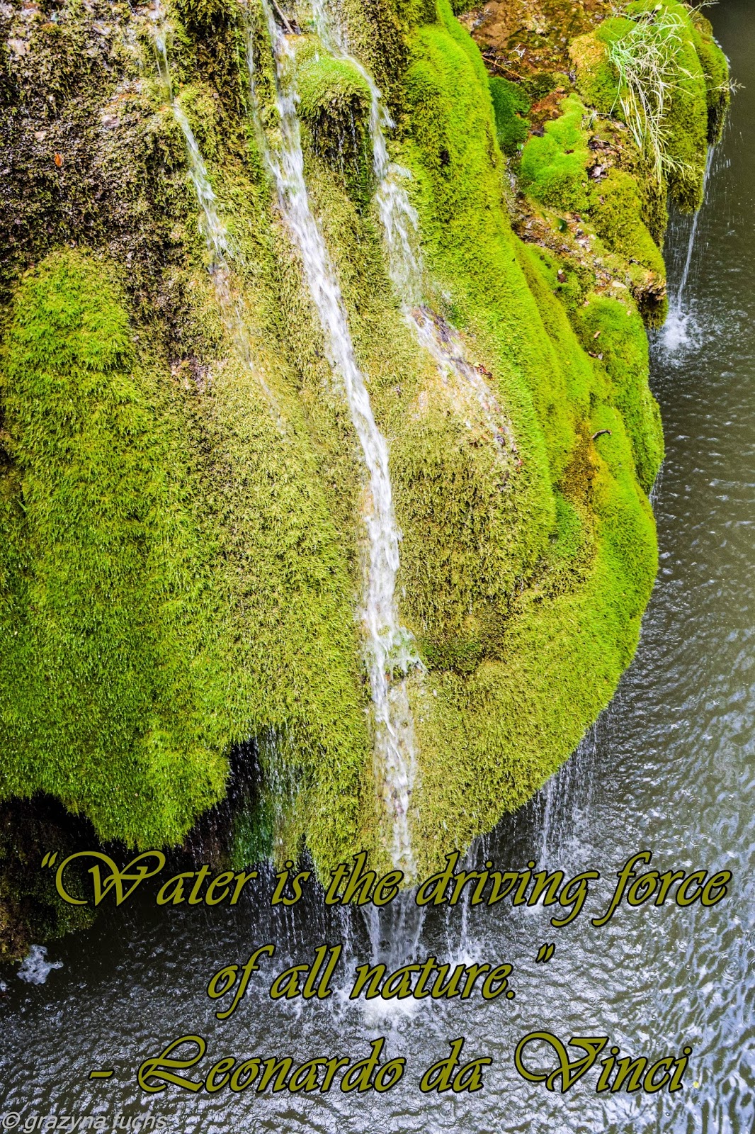 Enjoy your time with beautiful places: QUOTES