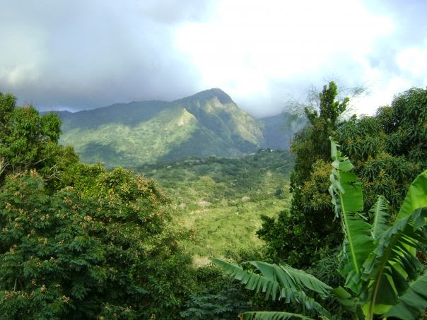 Luna del Otoao: Fotos de mi pueblo,Utuado