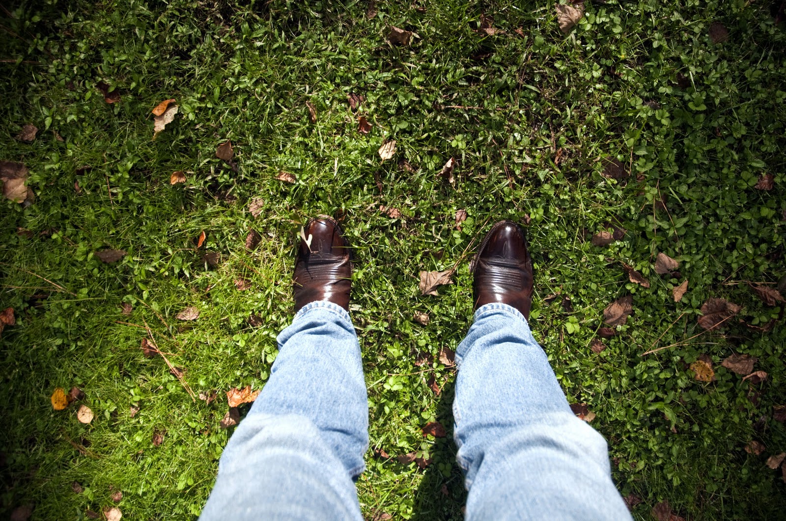 What I Saw: Both Feet Planted Firmly on the Ground