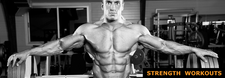 Visual Impact Muscle Building