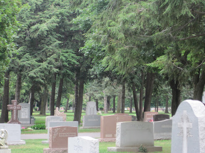 Gone, but not forgotten - third in a series - Carol Cassara