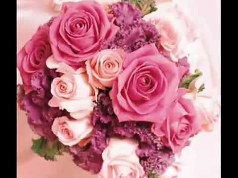 فكرة جديدة لمشروع صغير مربح ~ مدونة مشروع صغير