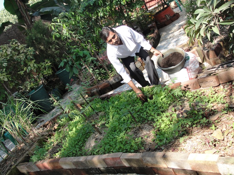 Natueco city farming: Introducing permaculture design on MbPT terrace ...