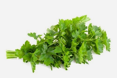 Majdanozi i dobishëm për veshkë ~ Interesante