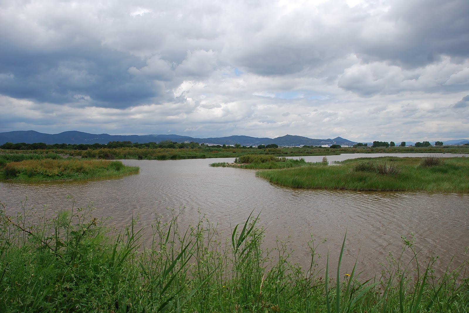 Pequeña montaña (senderismo en familia): Delta del Llobregat - Remolar ...