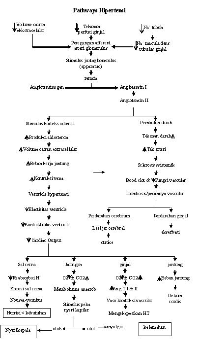 PATHWAY HIPERTENSI | Teguh Subianto