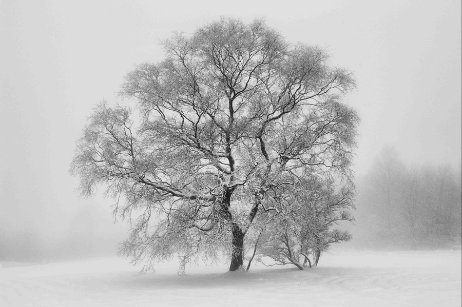 The Adventures and Poems of W.E. Hogue: Frank Kidder: The Godfather of ...