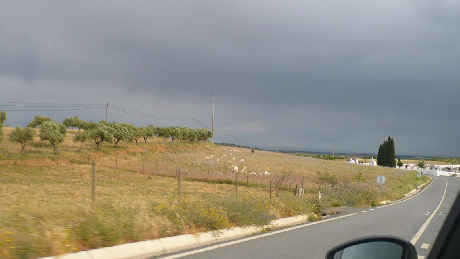 Via Verde: O pedágio eletrônico de Portugal - Viajando Bem