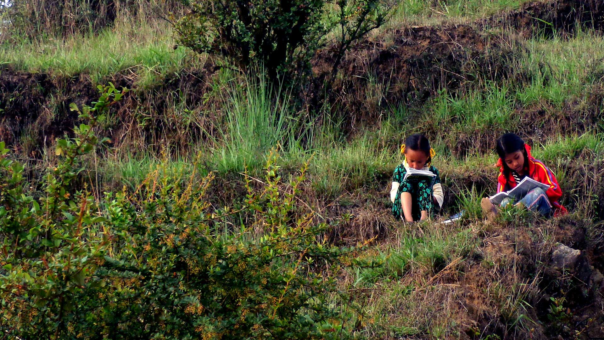 Padai | Nepali Walls