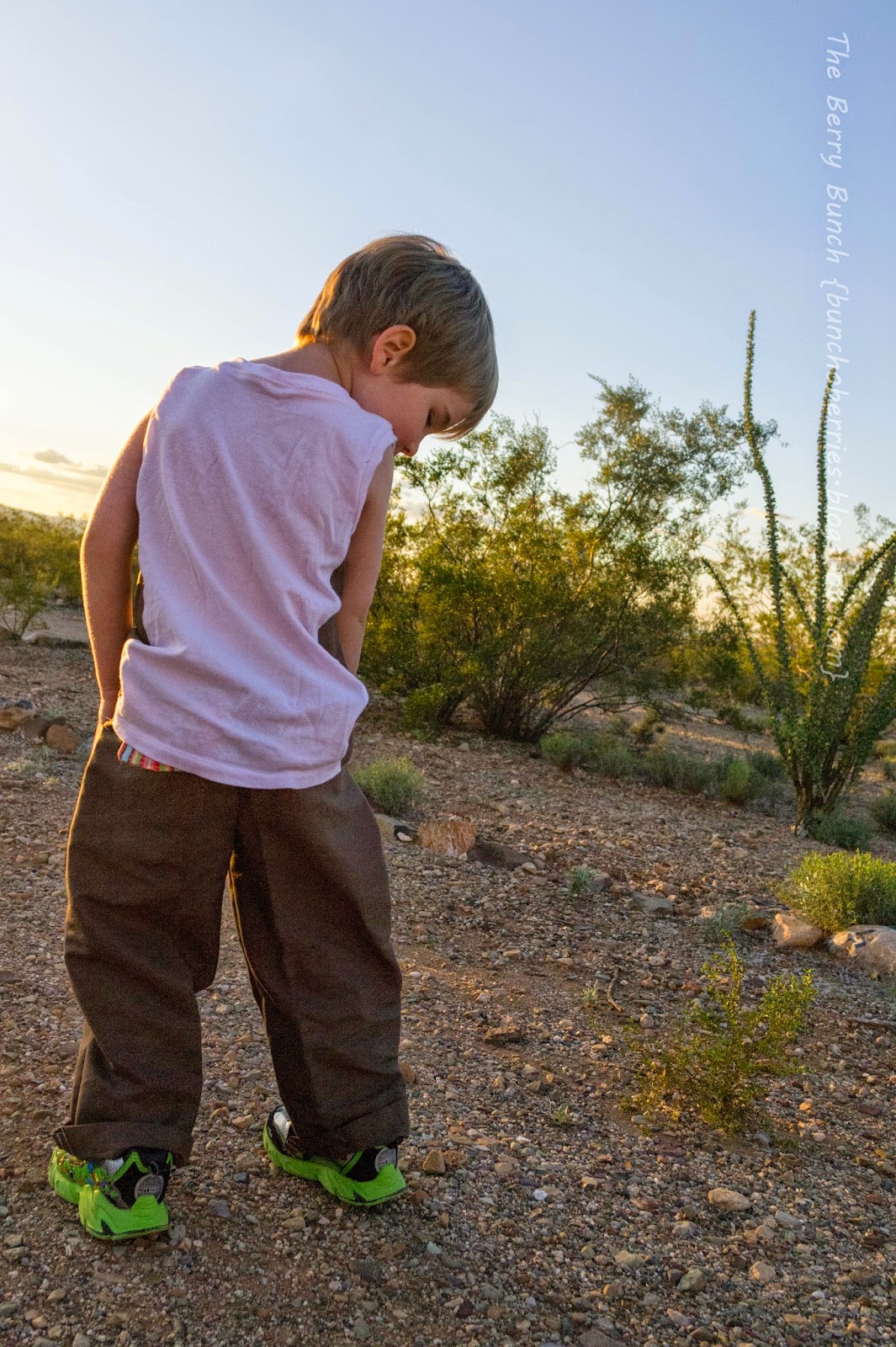 The Berry Bunch: Brown and Pink Jelly Bean Inspiration: Handmade Boy's ...