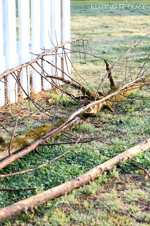 Keeping It Cozy: Cedar Poles in the Garden