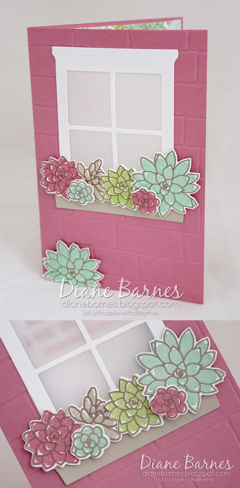 colour me happy: Oh So Succulent window box card & hexagon box