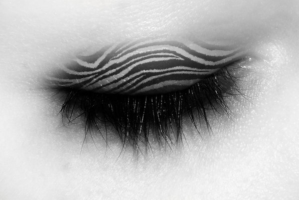 encanto-celestial: Zebra Eye Makeup