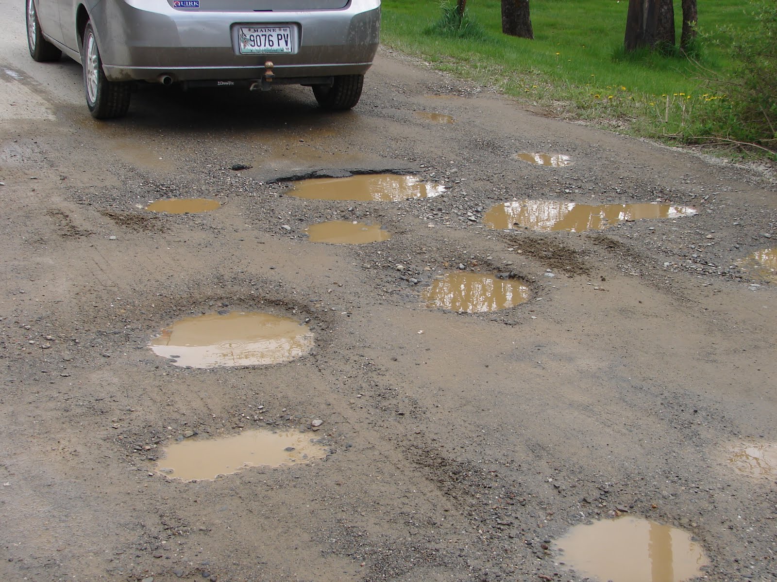 Wild Plants and Wooly Bears: Anatomy Of A Pothole