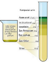 Glukosa Urin, Protein Urin, Urobilinogen Urine, Keton Urine, Bilirubin ...