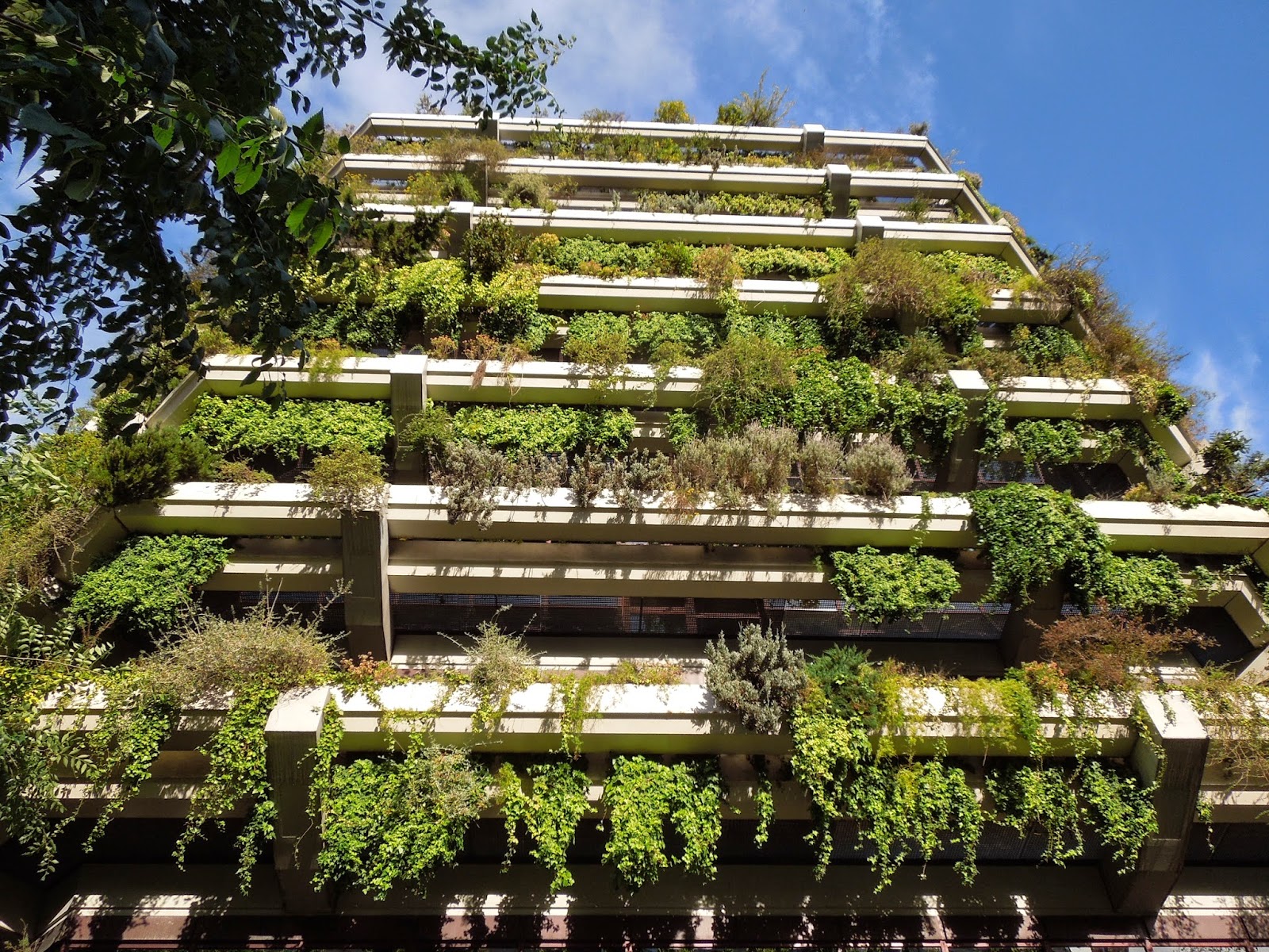 El primer jardín vertical en Barcelona - BOTÀNIC SERRAT