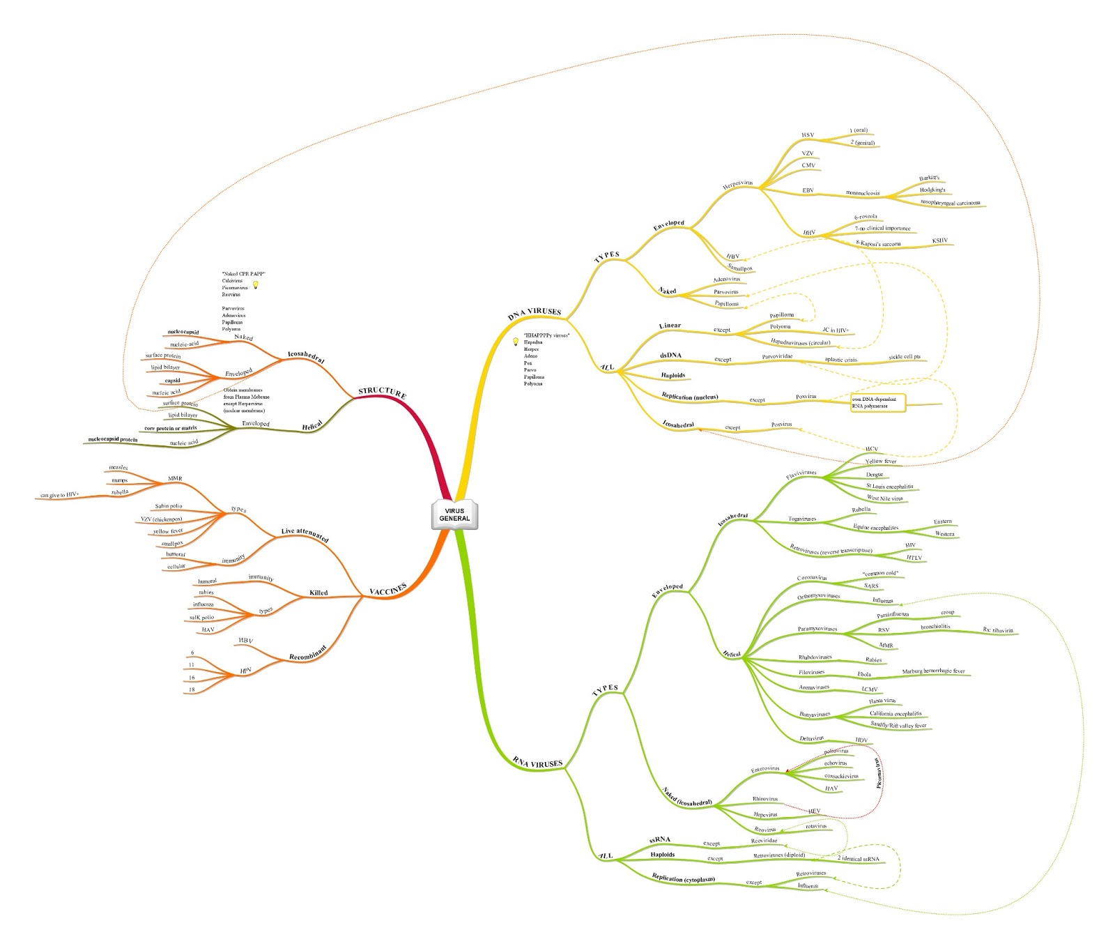 Medical MindMaps for USMLE Step 1: DNA Viruses