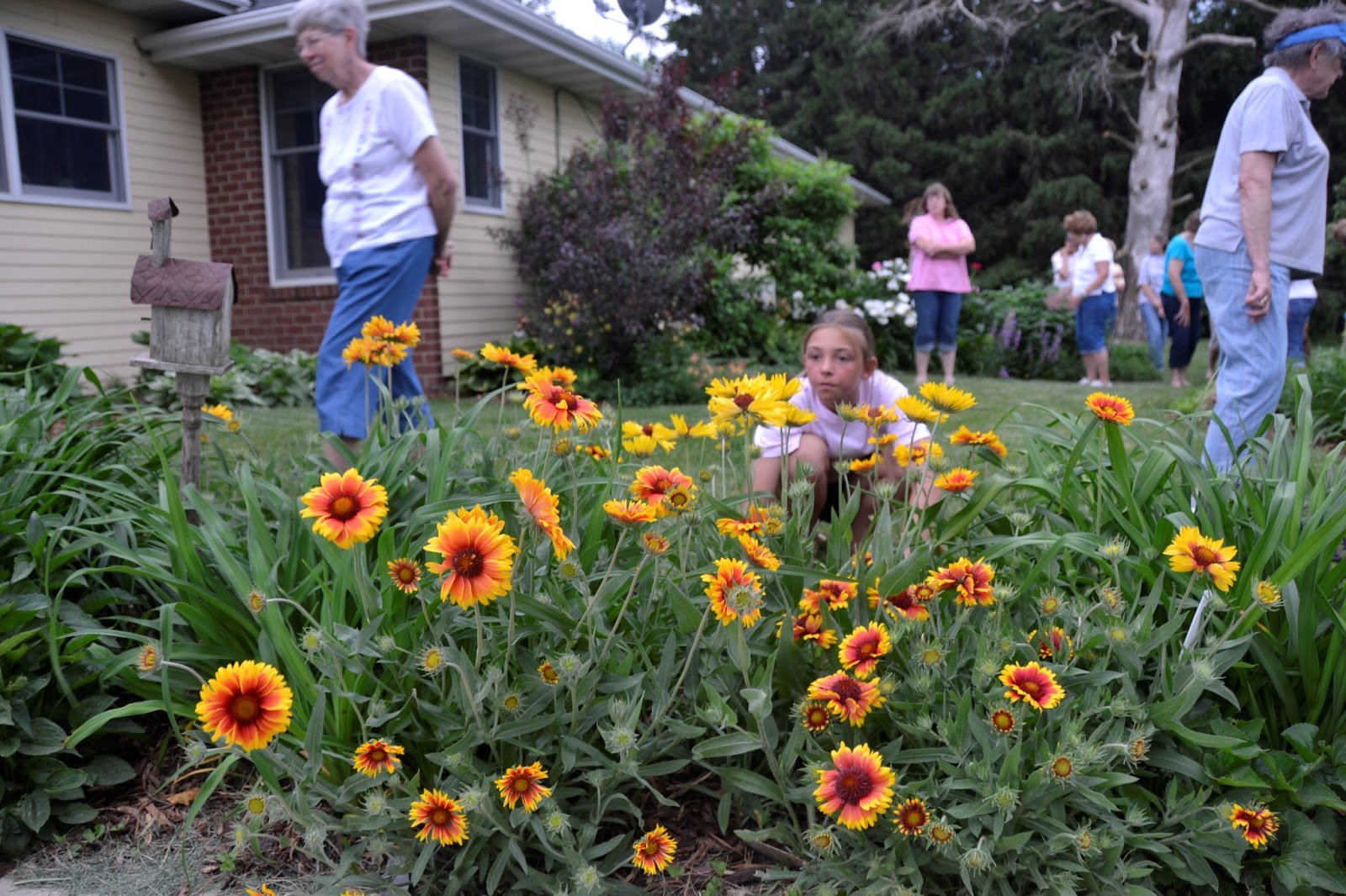 Gardening With Chickens and Other Trials of Farm Life: It's Summertime ...