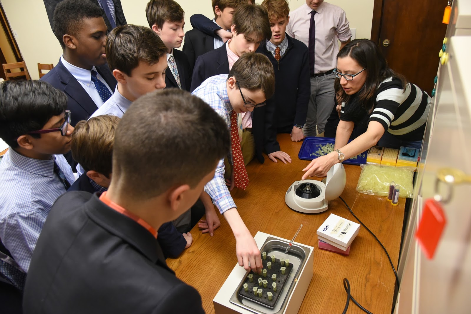 Study of DNA with the DNALC