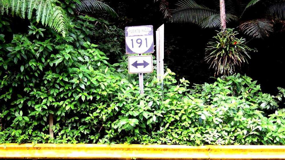 Puerto Rico Highway 191