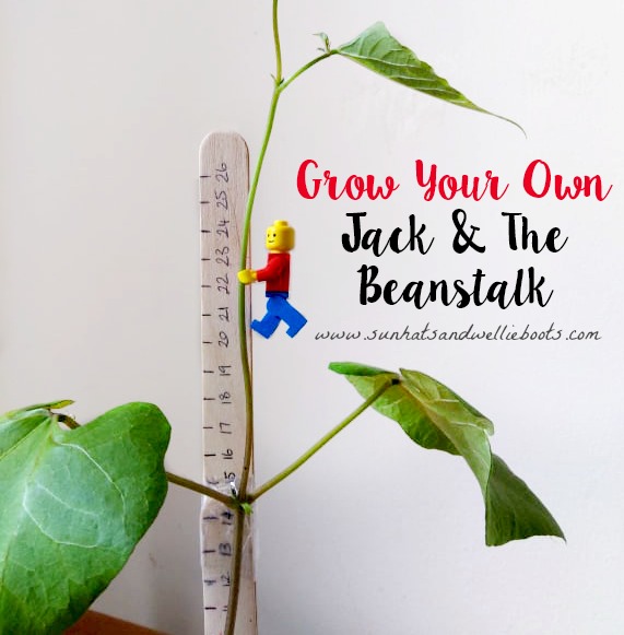 Sun Hats & Wellie Boots: Grow Your Own "Jack & the Beanstalk" with ...