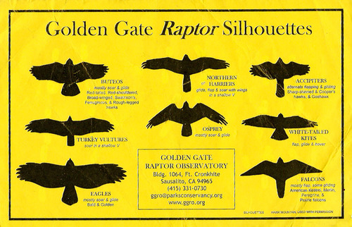 West County Hawkwatch Raptor Research Group : Birds of Prey silhouettes ...