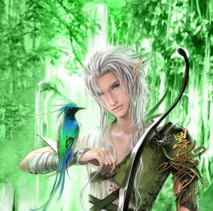 La Guarida: Cultura y forma de vida de los elfos.