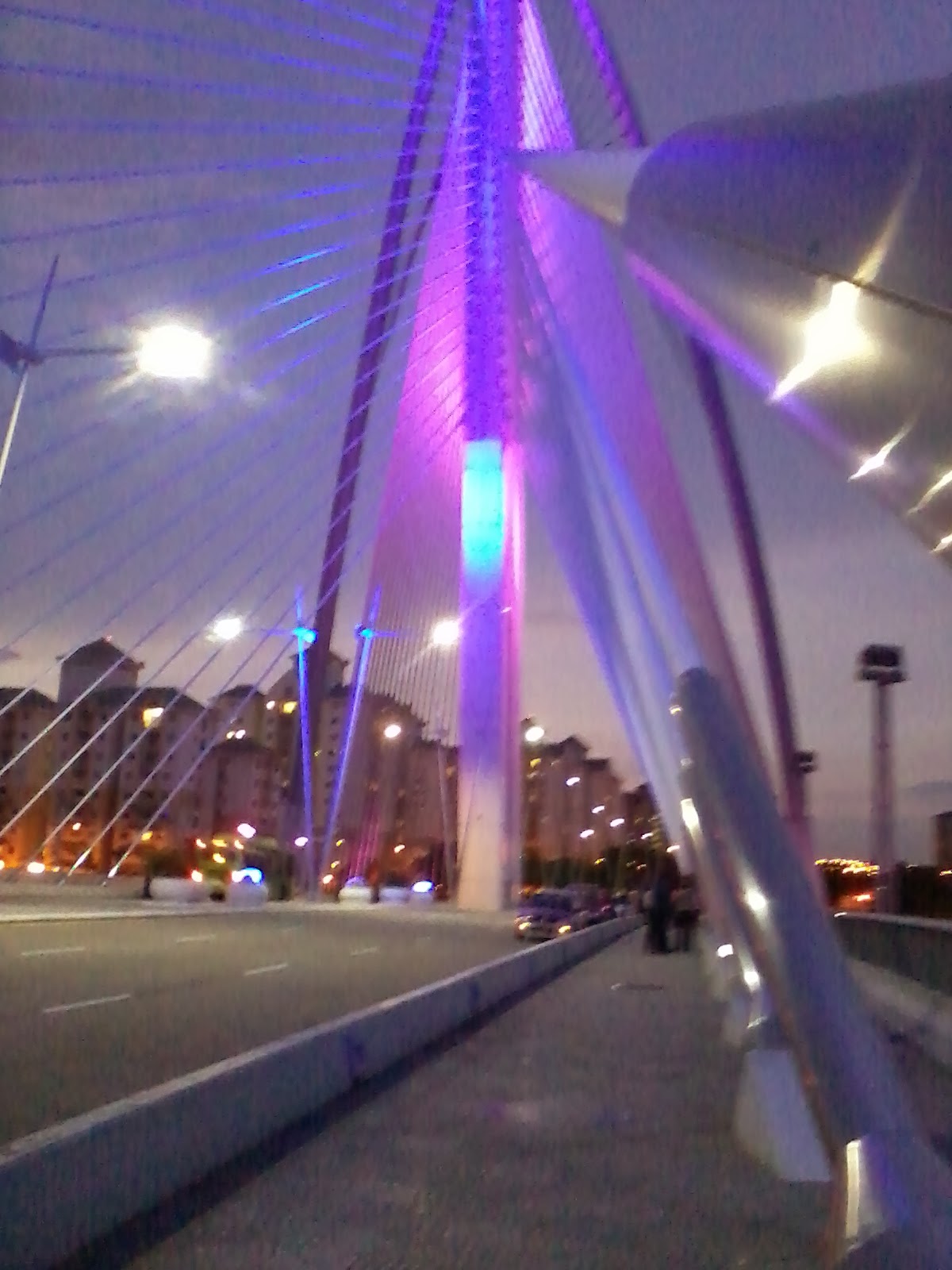 hajar diary: terMenung di Jambatan Putrajaya