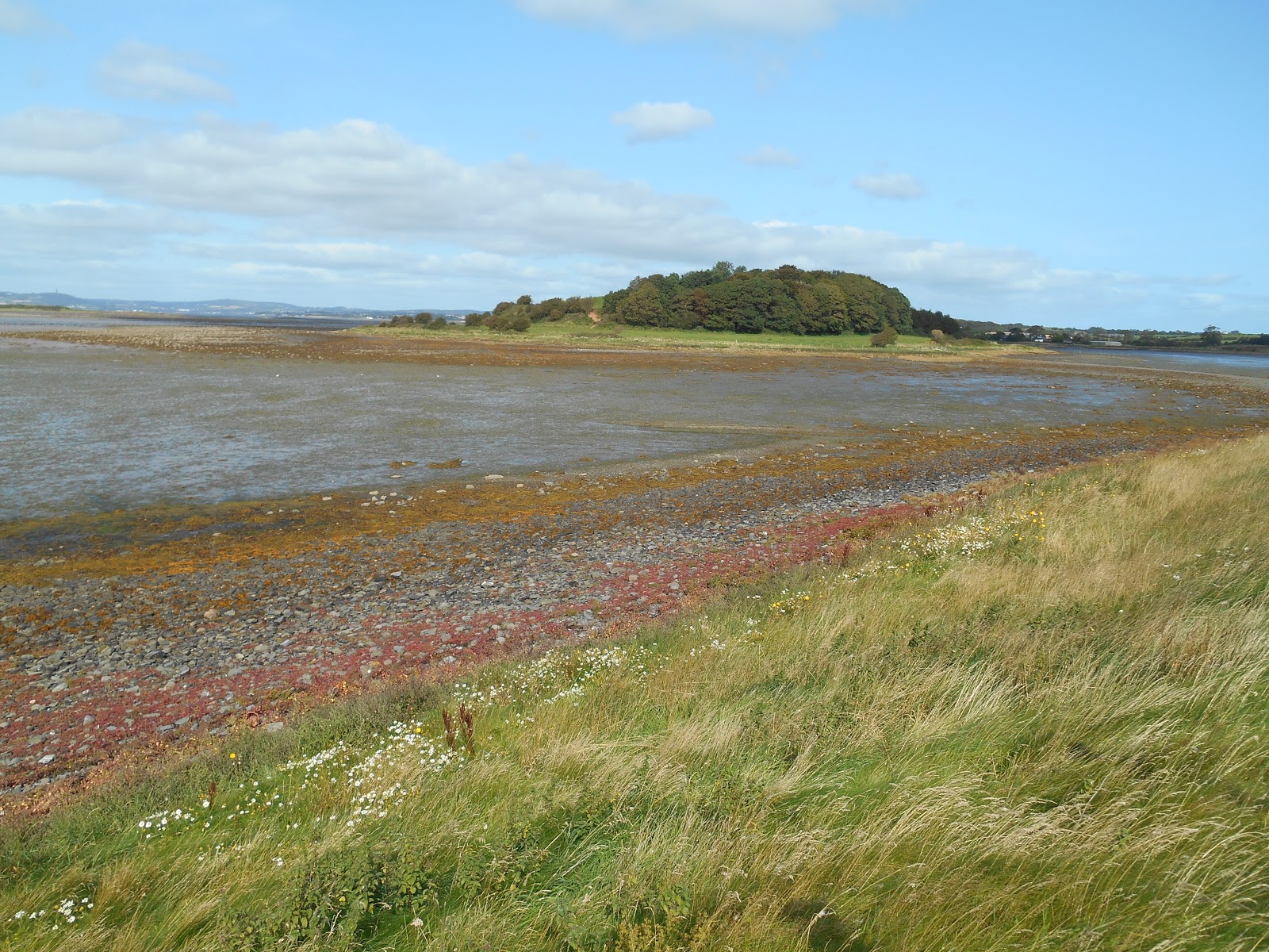 A lifetime of Islands: Island 285 - Mid Island, Strangford Lough ...