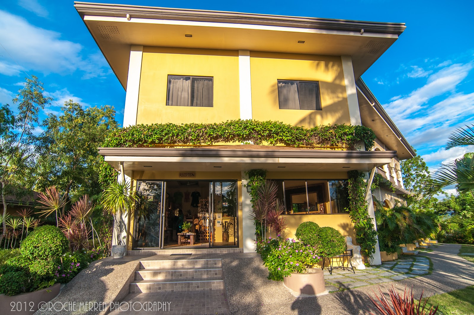 Illustration of Passion: Turtle Bay Dive Resort, Moalboal Cebu