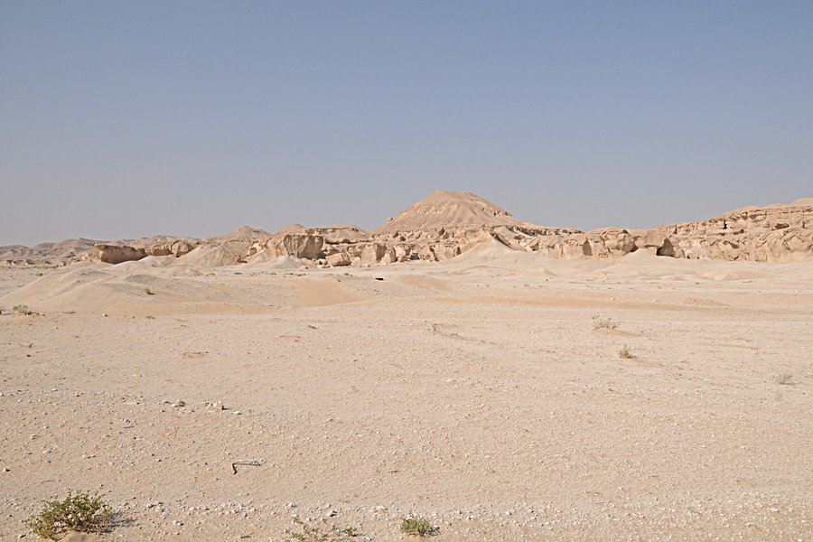 Birds of Saudi Arabia: Shedgum Escapment