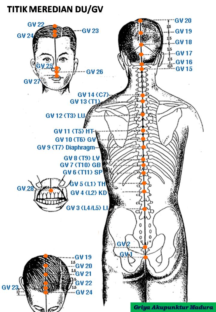MAKLUMAT KESIHATAN DAN PENYAKIT: MERIDIAN AKUPUNTUR